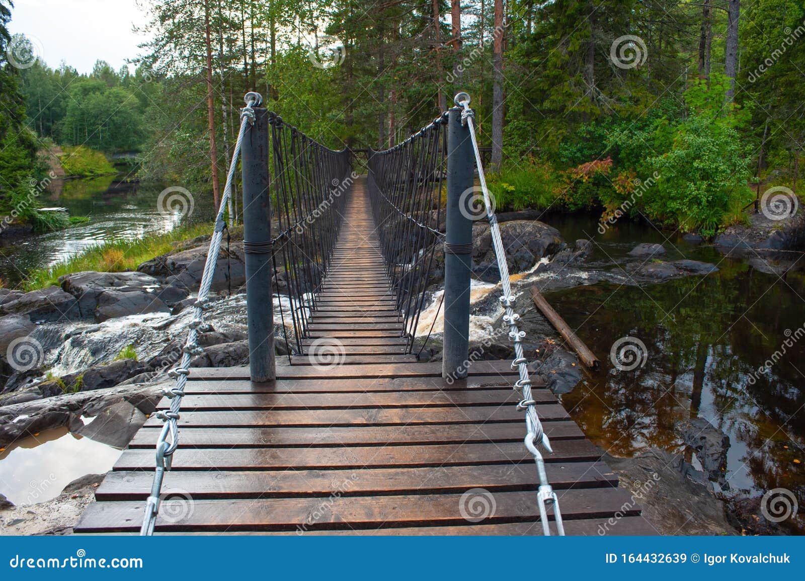 Suspension Cable Bridge Crossing the River Stock Image - Image of ...