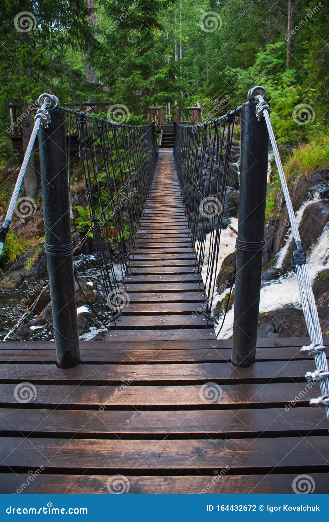 Suspension Cable Bridge Crossing the River Stock Photo - Image of tree ...