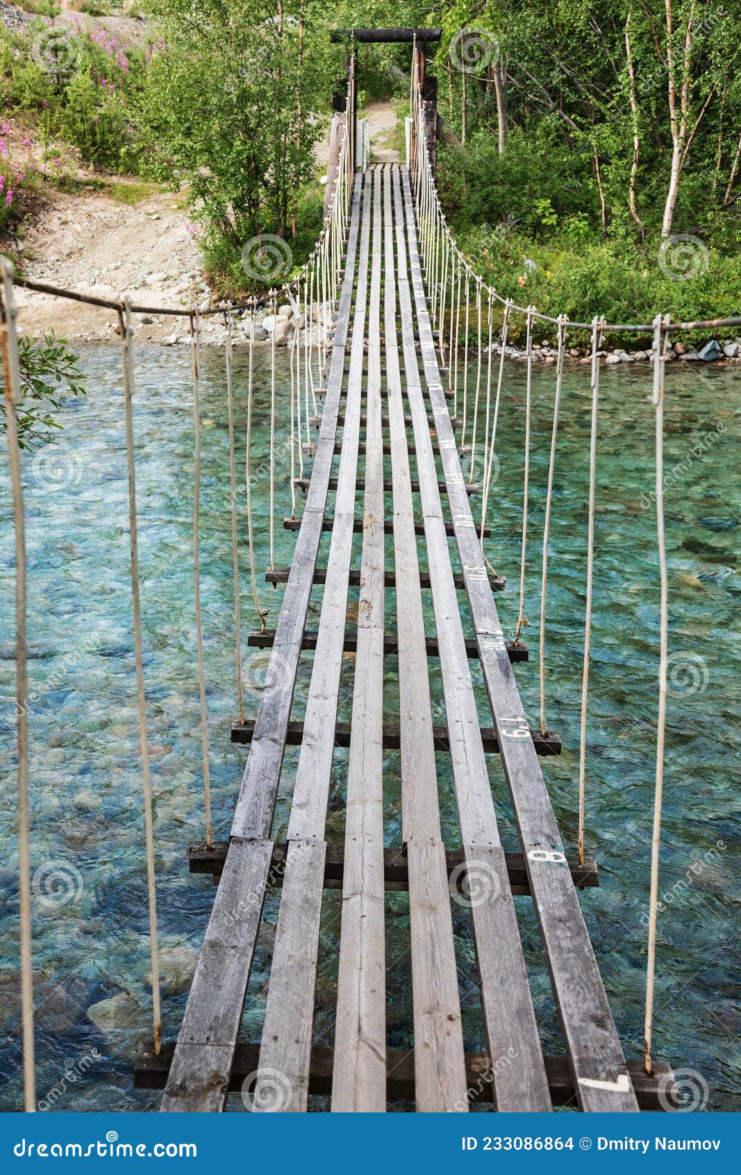 Suspension rope bridge stock photo. Image of plank, construction ...