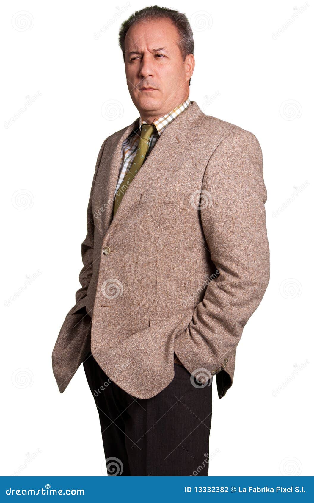 Suspicion stock photo. Image of portrait, distinguished - 13332382