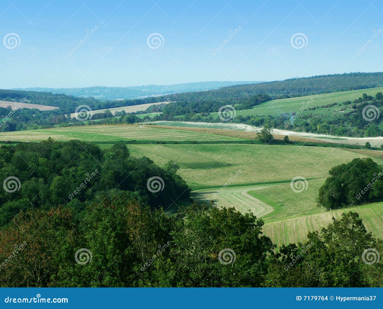 Sussex Downs England stock photo. Image of england, sussex - 7179764