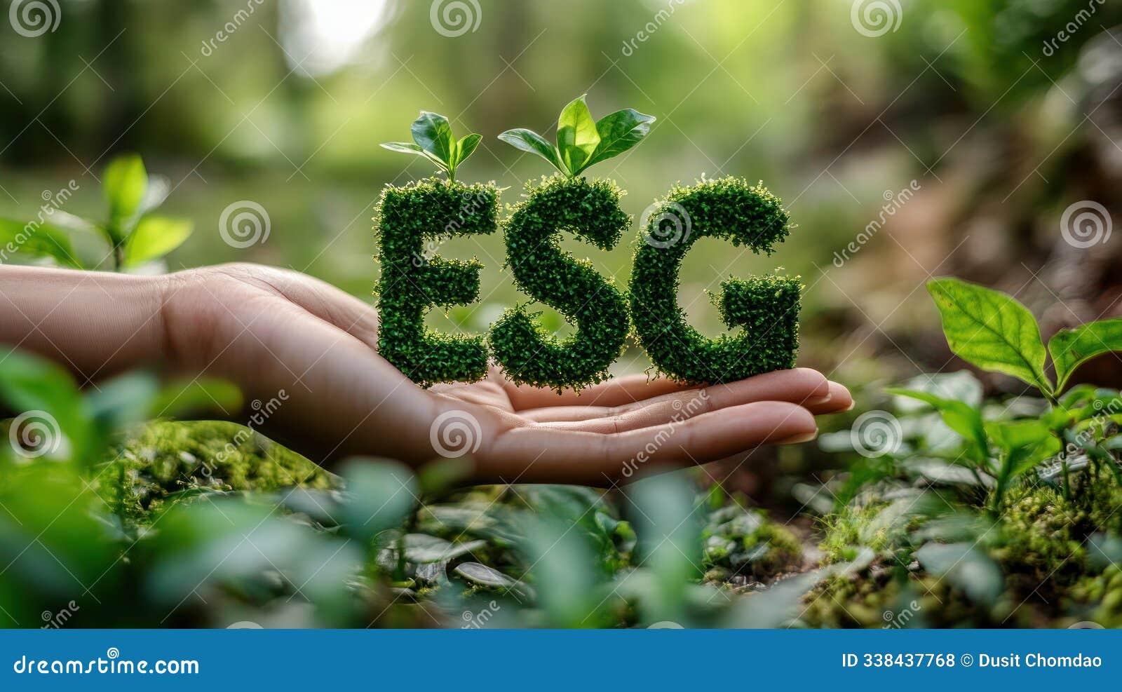 Sustainability is Highlighted with Green ESG Letters Held in Hand Stock ...