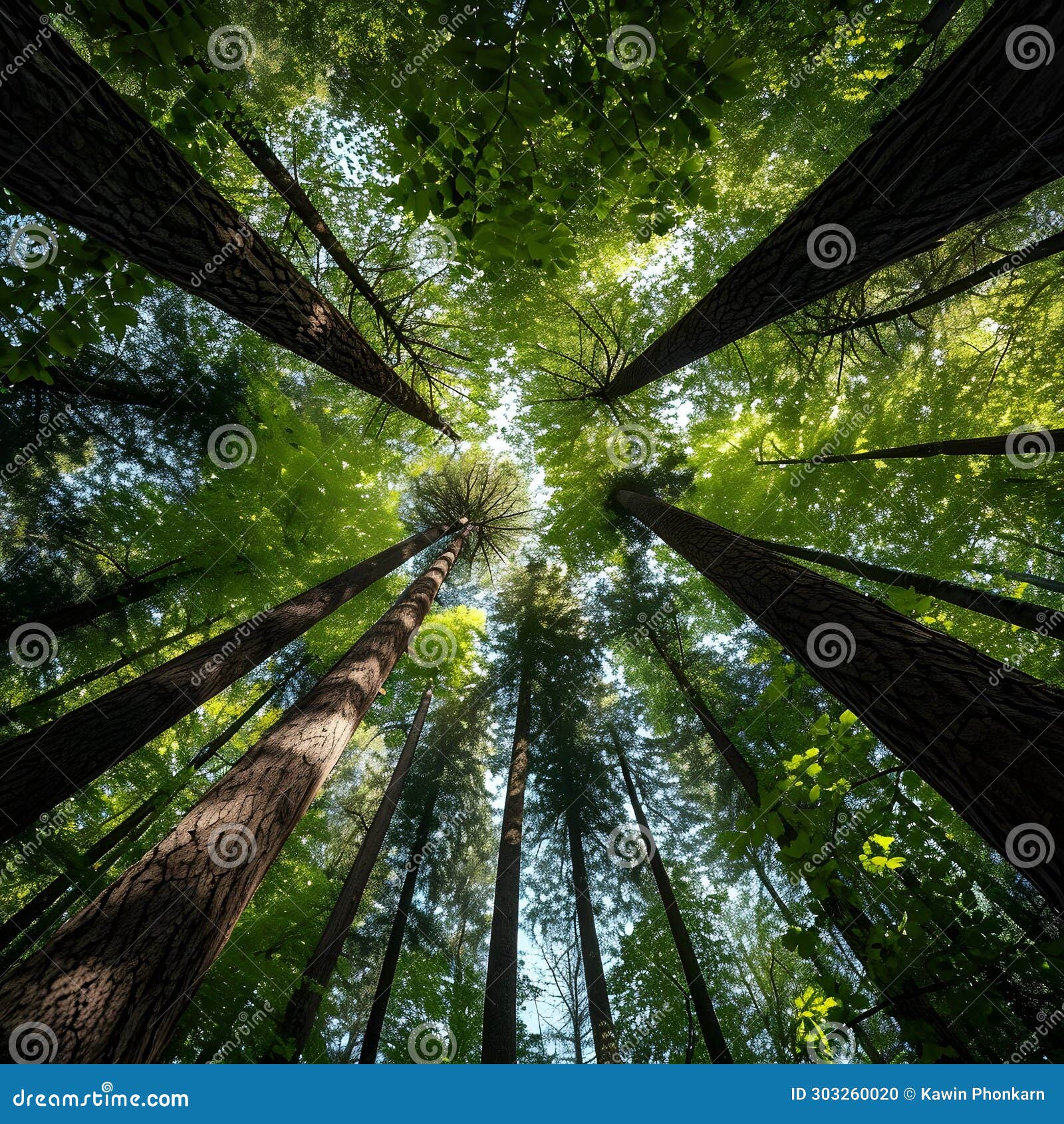 Net Zero. Carbon Neutral Round Label, Sign. Vector Isolated Design ...