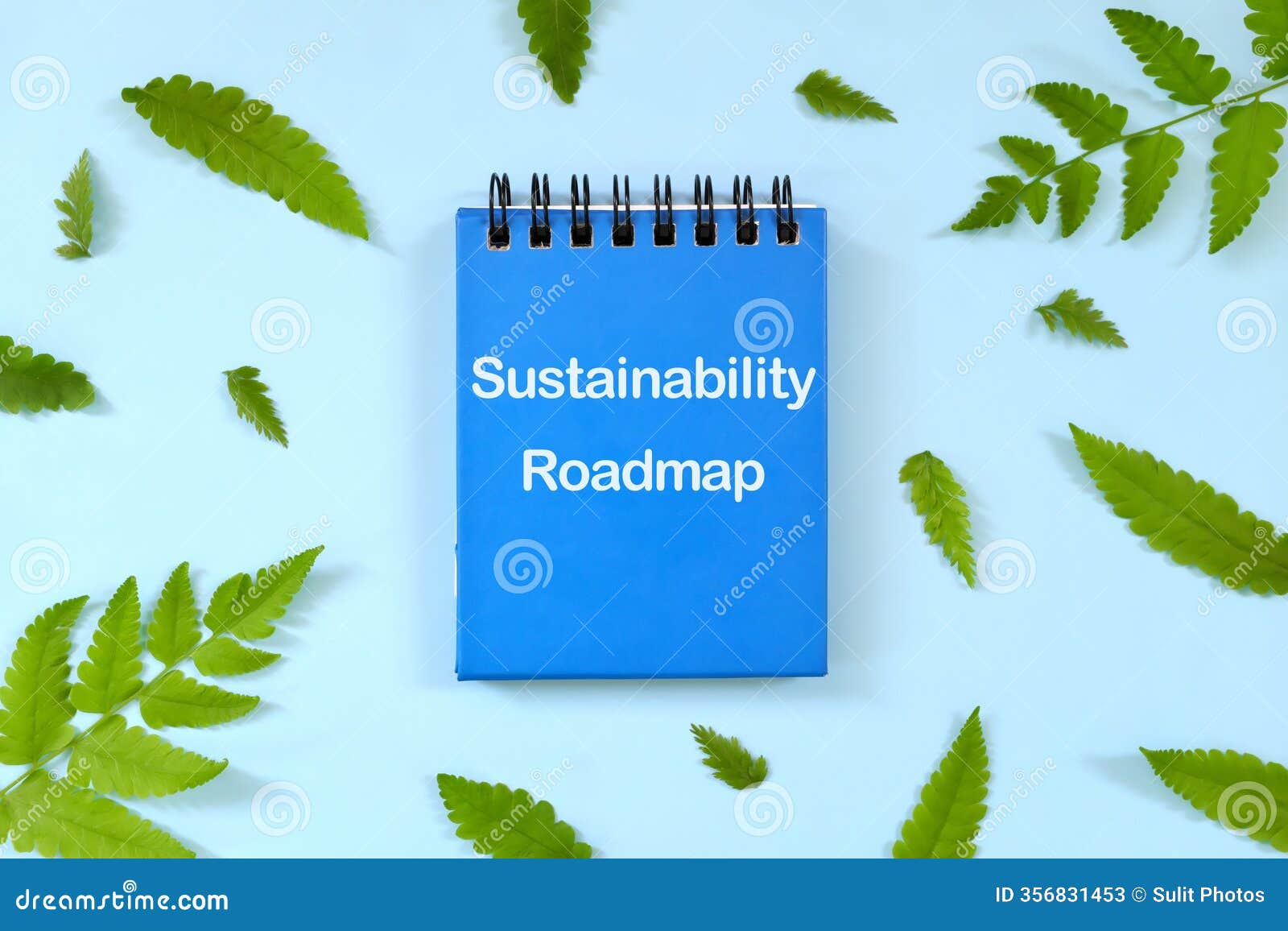 Sustainability Plan, Goal and Roadmap of a Business Organization ...