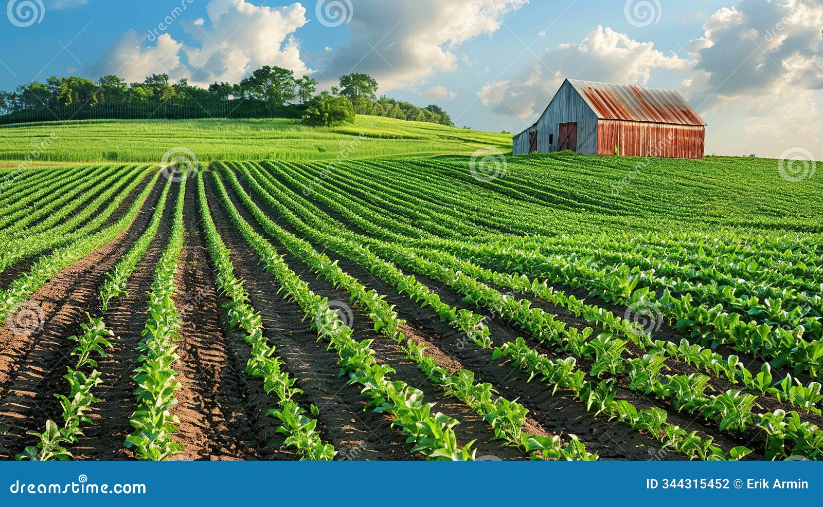 Sustainable Agriculture, Hydroponics Based Production Method Farm Stock Illustration ...