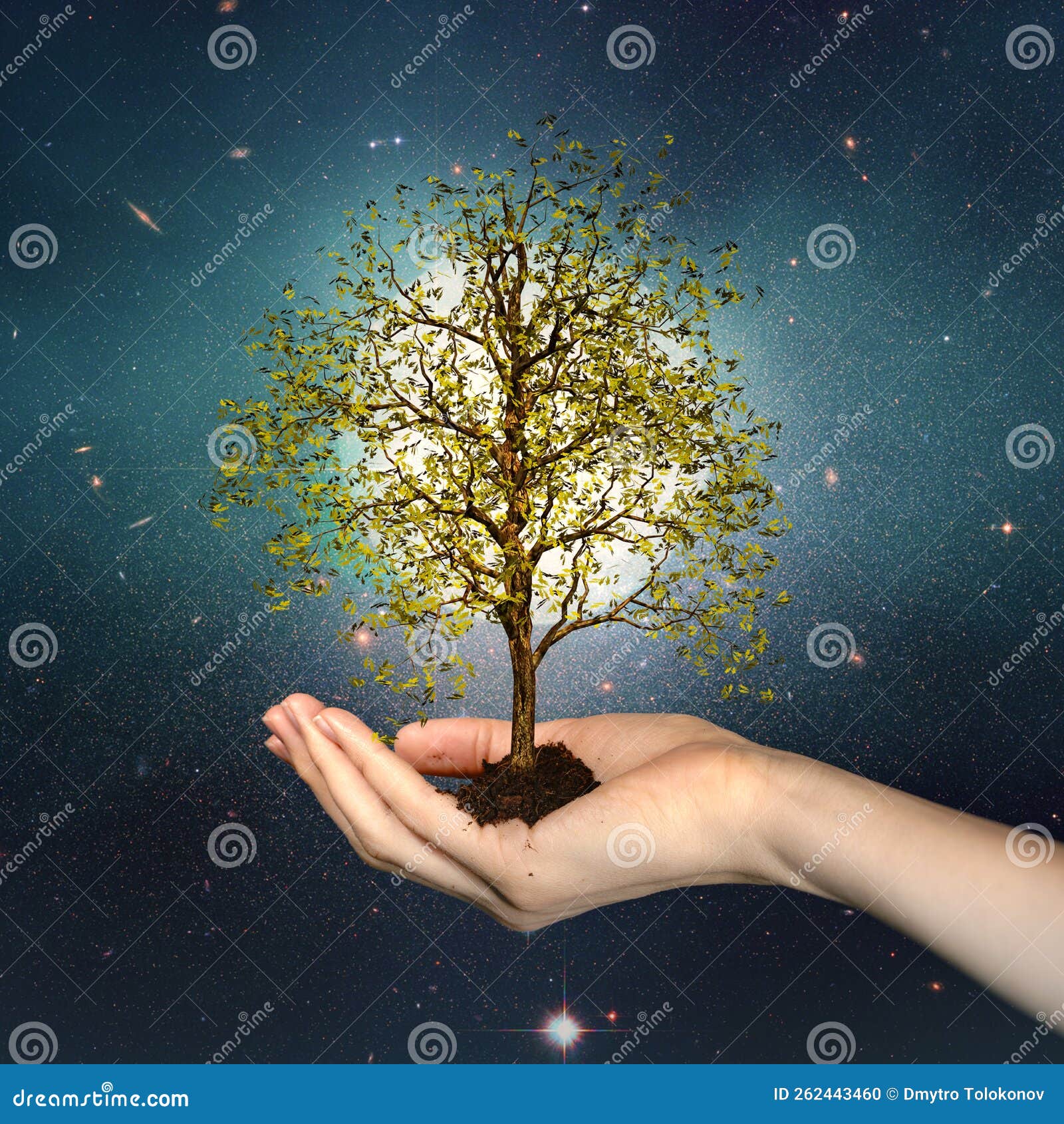 Sustainable Development, Abstract Environmentsl Backgrounds Stock Photo ...