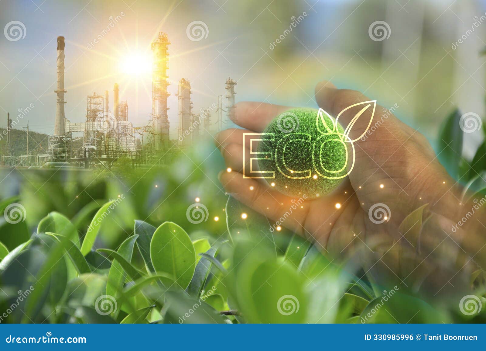 Sustainable Development and Business Operations Based on Renewable ... Sustainable Development and Business Operations Based on Renewable ...