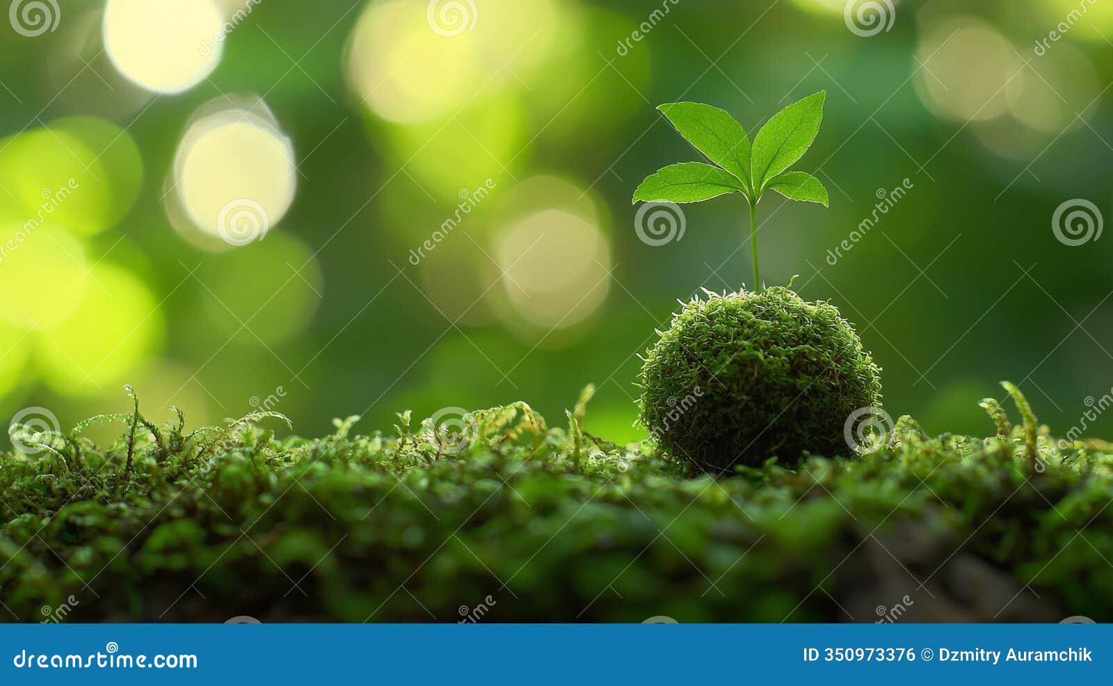 Sustainable Development and Eco-Friendly Practices Banner Symbolizing ...