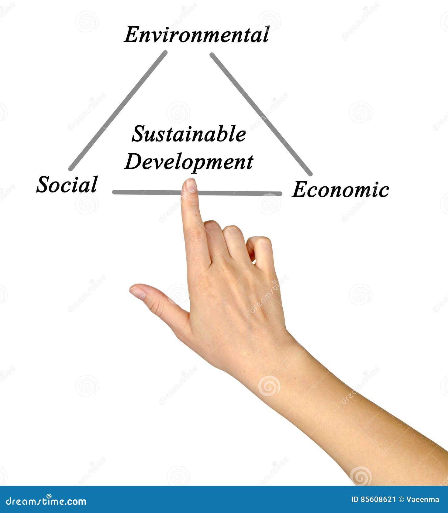 Sustainable Development Triangle