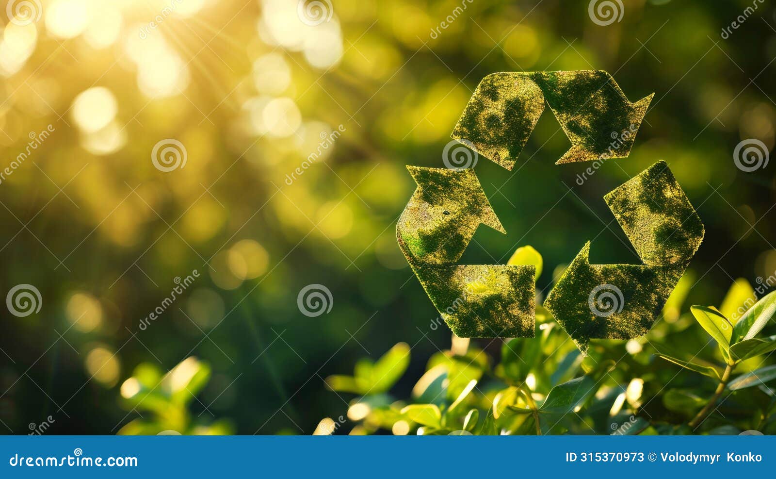 Sustainable Nature - Green Recycle Symbol in Forest Setting Stock Image ...