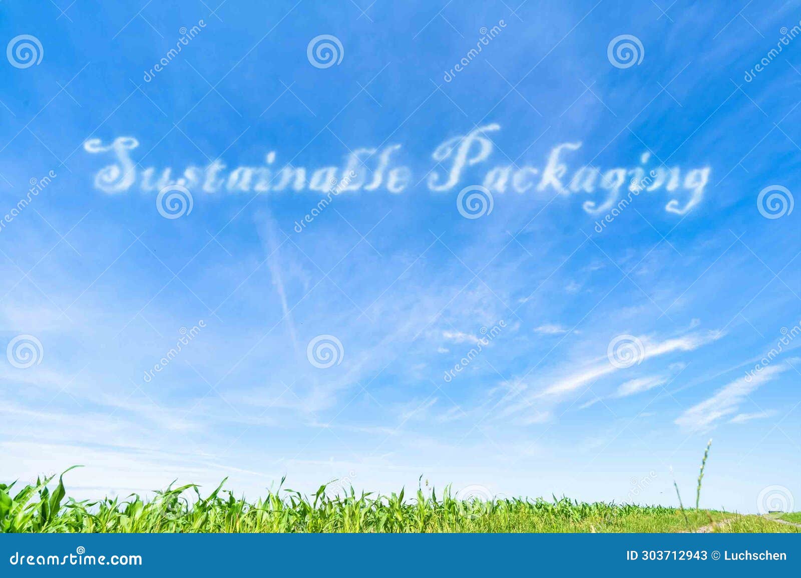 Sustainable Packaging: Environmentally Friendly Packaging Materials and ...