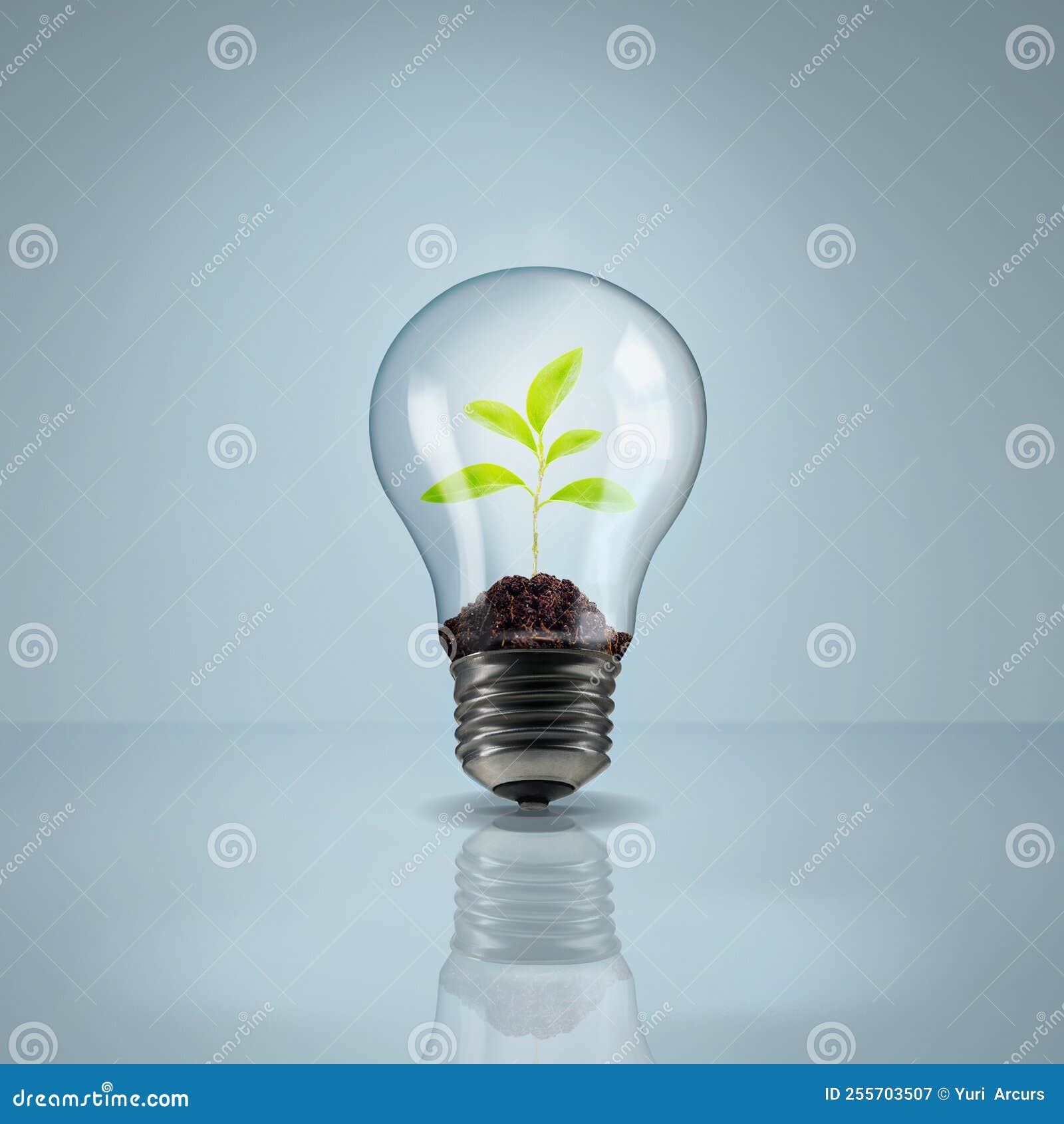 The Sustainable Solution. Studio Shot of a Plant Growing Inside of a ...