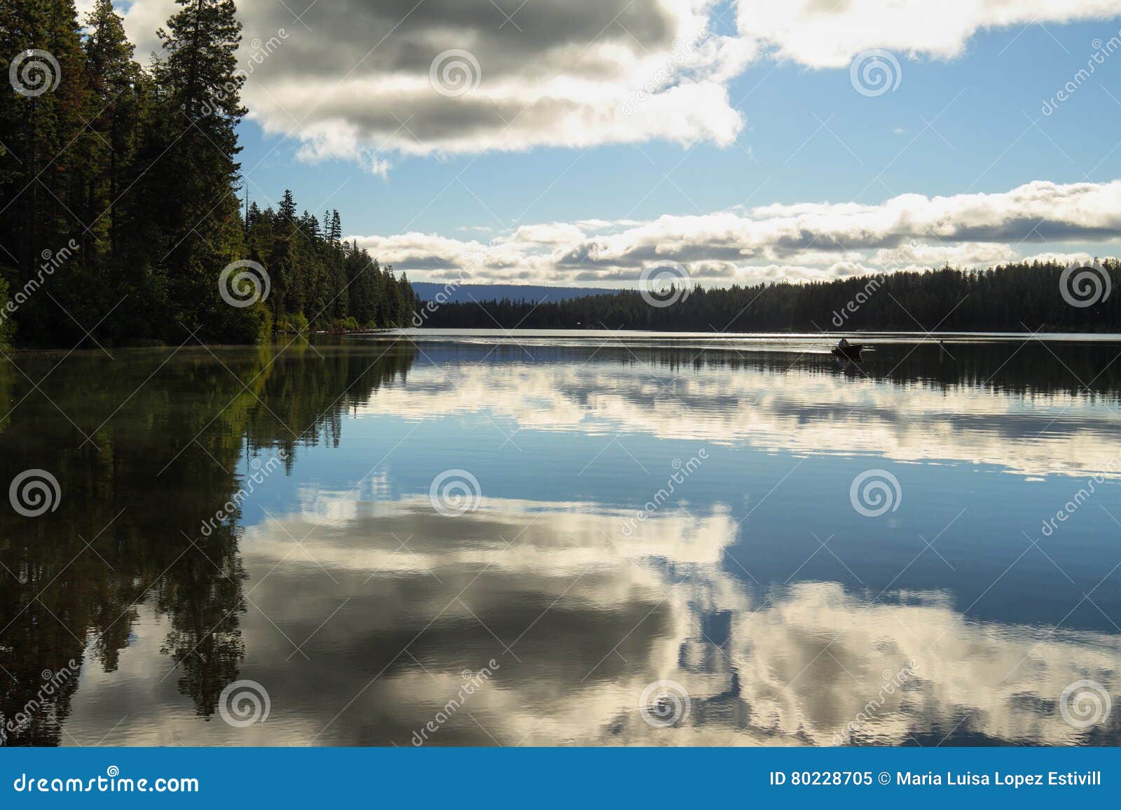 Suttle Lake, Oregon stock image. Image of forest, wilderness - 80228705