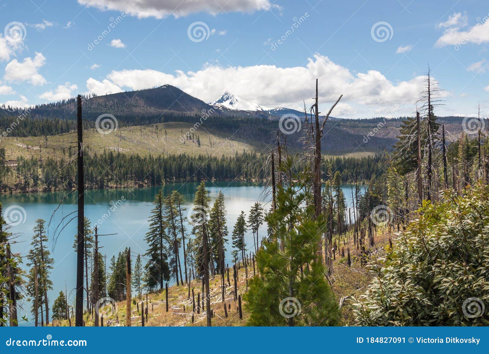 Suttle Background Stock Photos - Free & Royalty-Free Stock Photos from ...