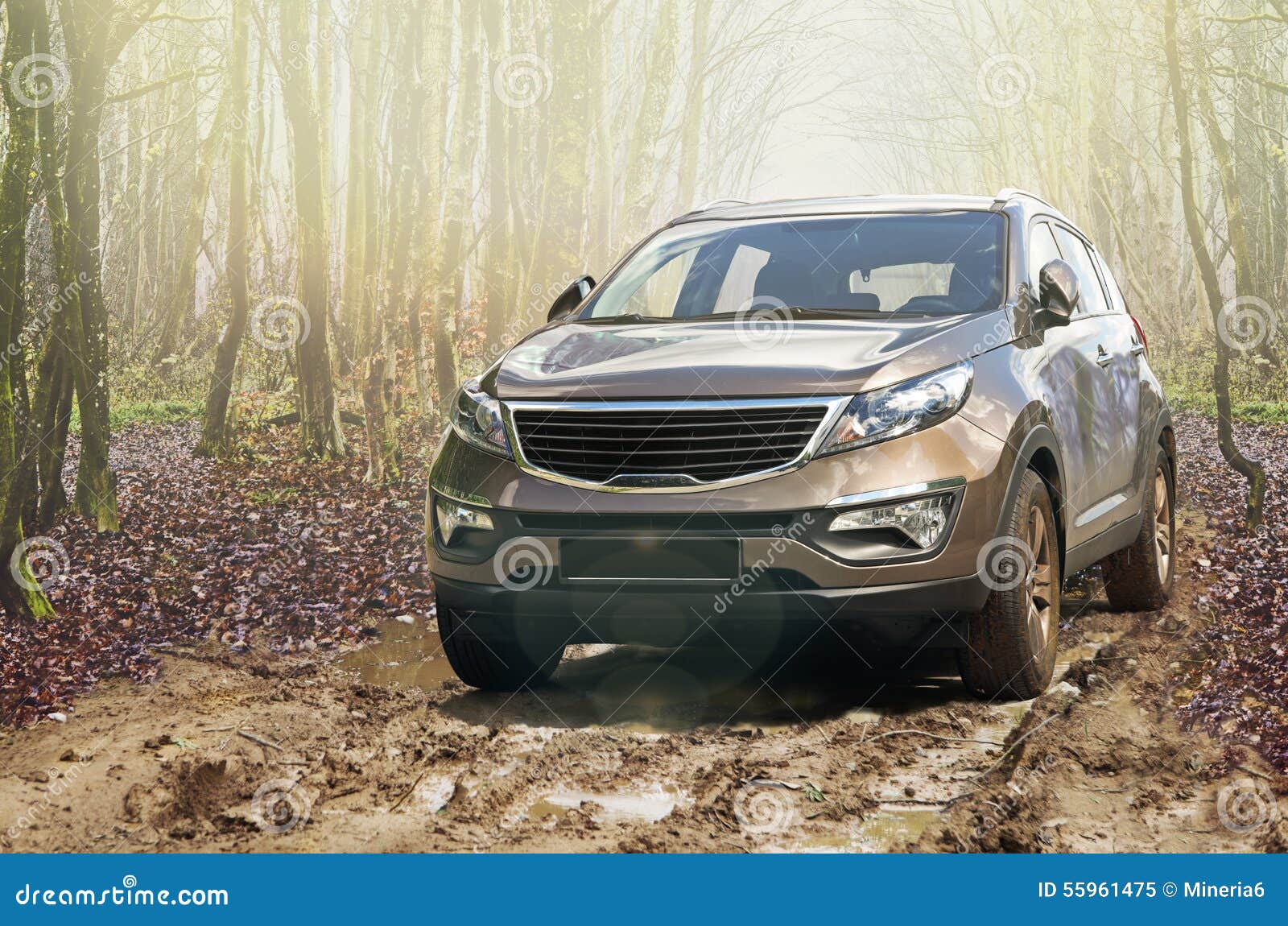 SUV on the road stock image. Image of closeup, offroad - 55961475