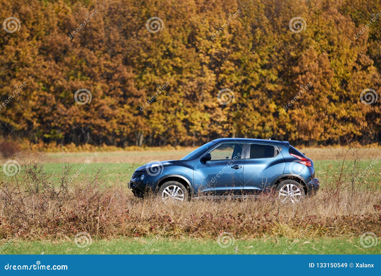 SUV in the forest stock image. Image of transportation - 133150549