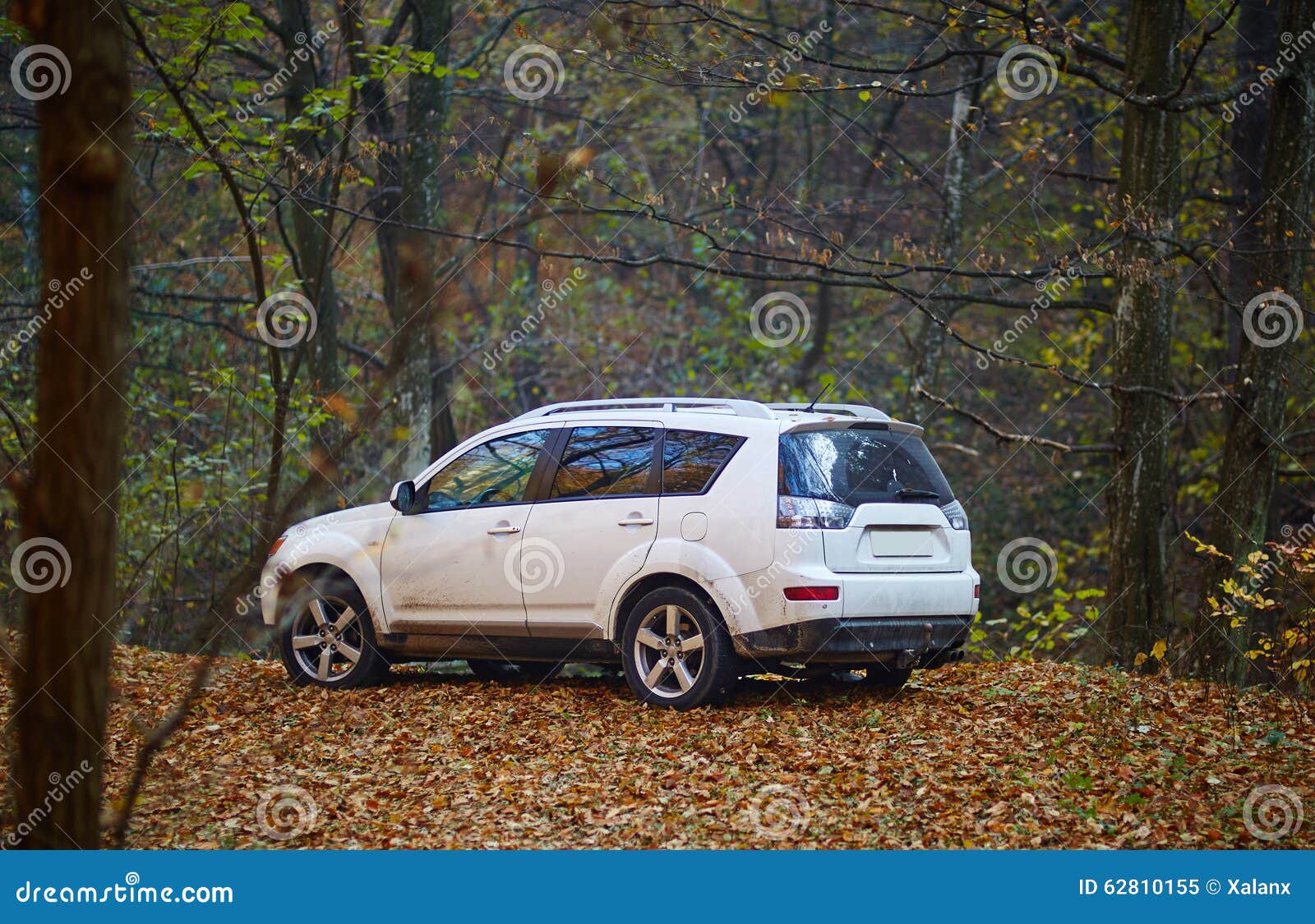 SUV in the forest stock image. Image of fall, outdoor - 62810155