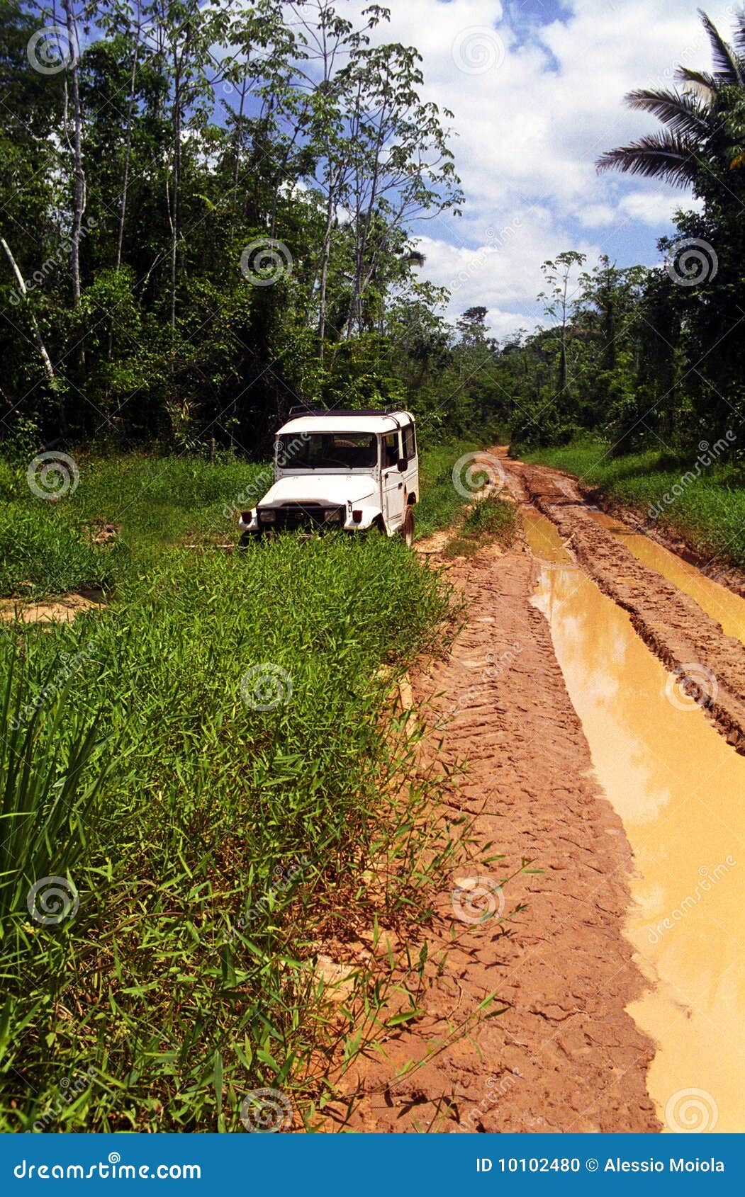SUV in a Muddy Trail in the Amazon Forest Stock Photo - Image of forces ...