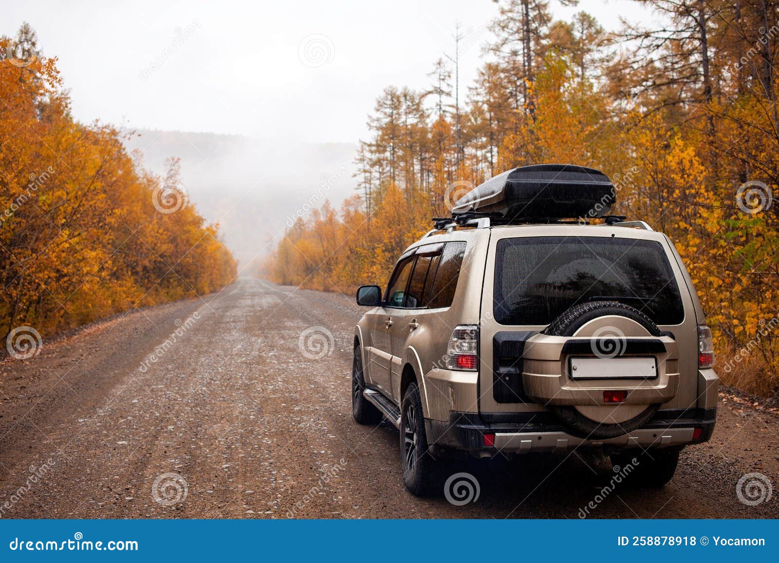 SUV on Scenic Autumn Road in the Forest Stock Photo - Image of explore ...