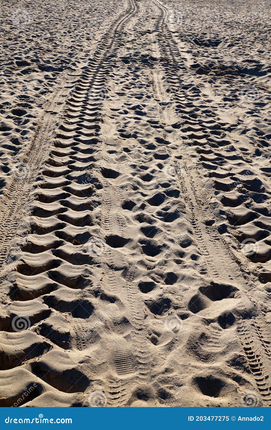 SUV Tire Marks on the Sand in Sunlight Stock Image - Image of tire ...