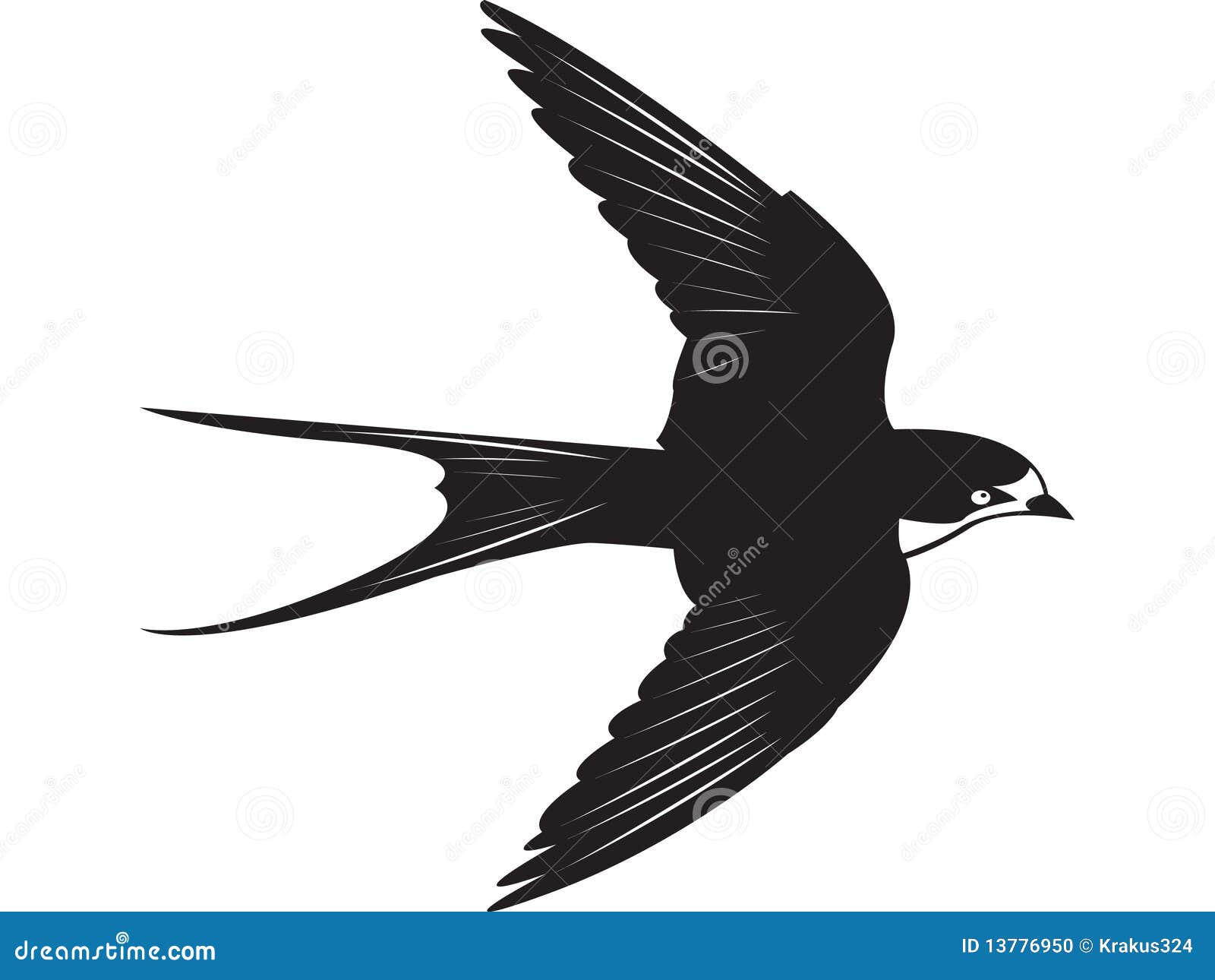 Svala stock illustrationer. Illustration av konst, tecken - 13776950