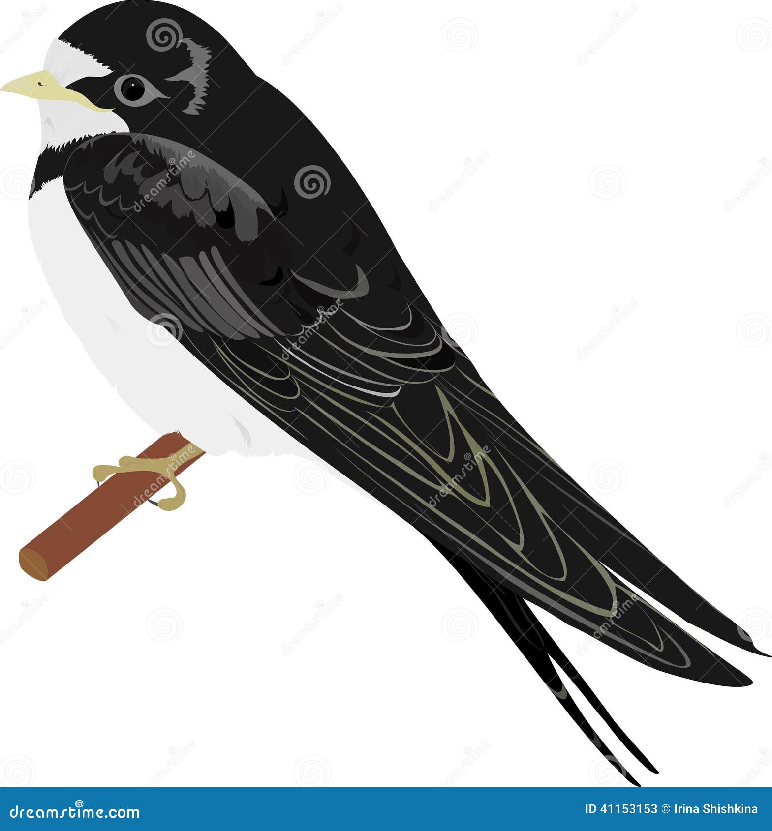 Svala vektor illustrationer. Illustration av rött, natur - 41153153