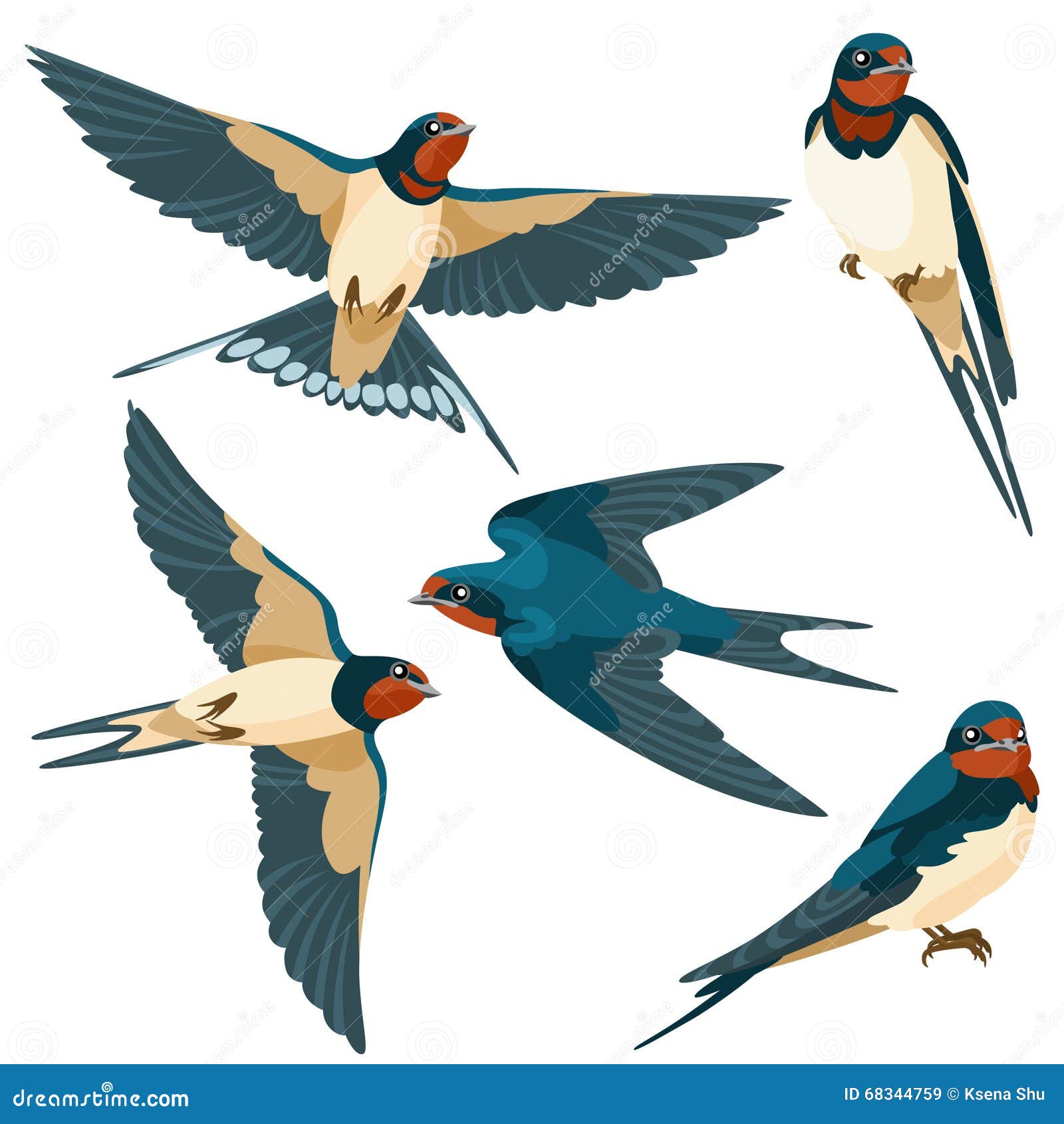 Svalor på vit bakgrund vektor illustrationer. Illustration av angus ...