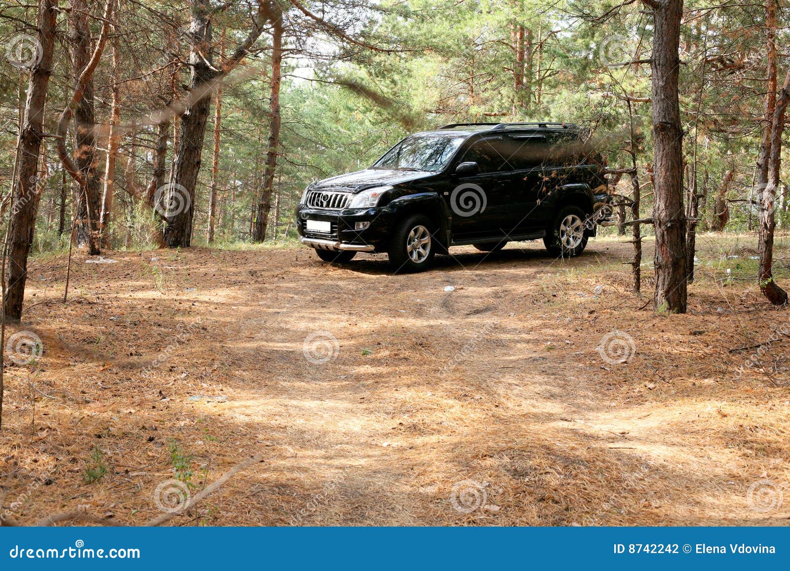 Svart bil arkivfoto. Bild av visare, gran, autonom, utomhus - 8742242