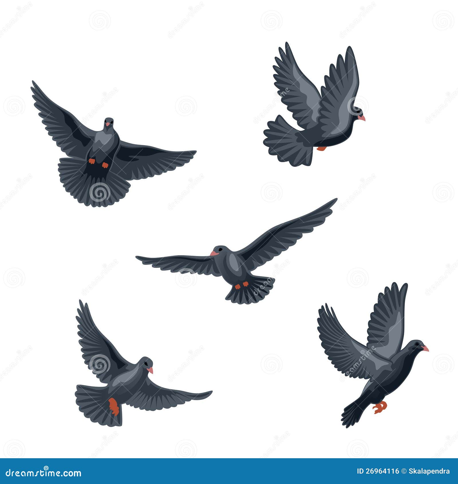 Svart duva vektor illustrationer. Illustration av vitt - 26964116