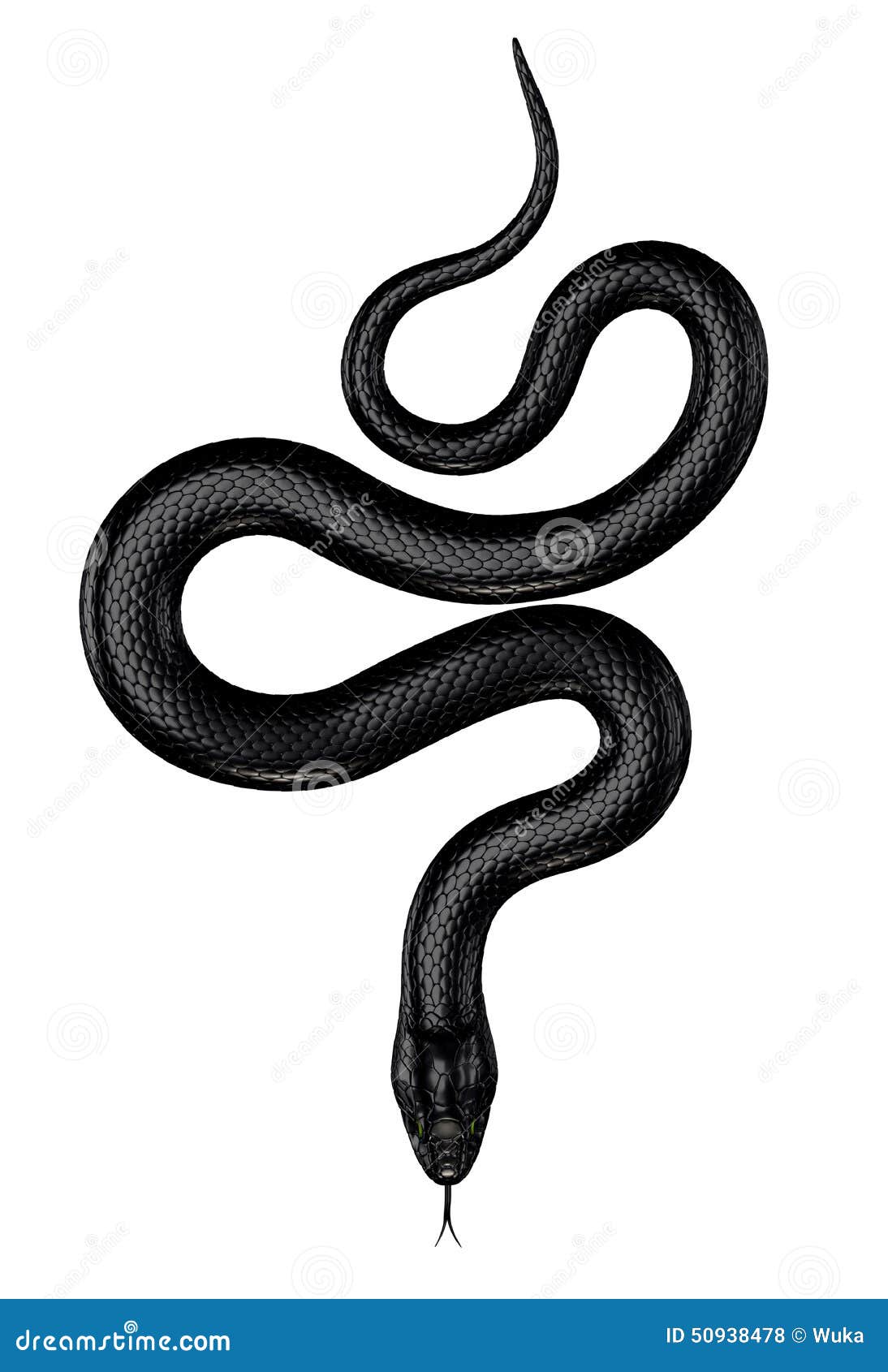 Svart orm stock illustrationer. Illustration av svart - 50938478