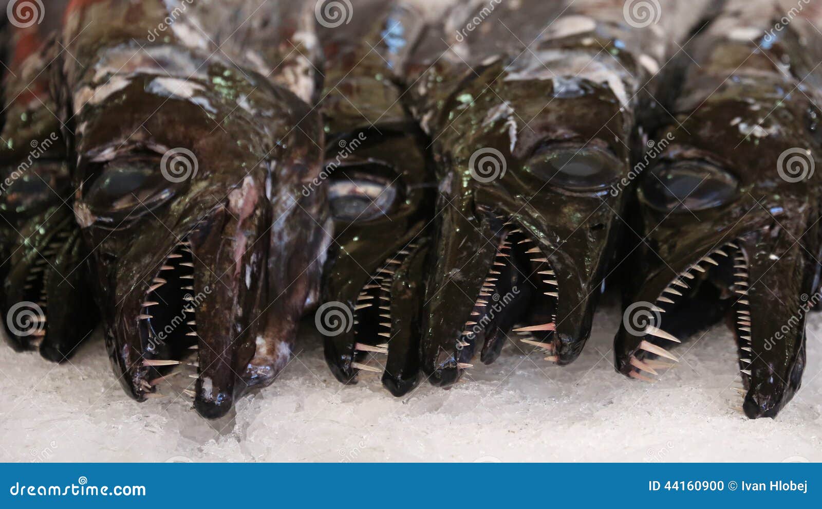 Svart slida arkivfoto. Bild av läckerhet, kulinariskt - 44160900