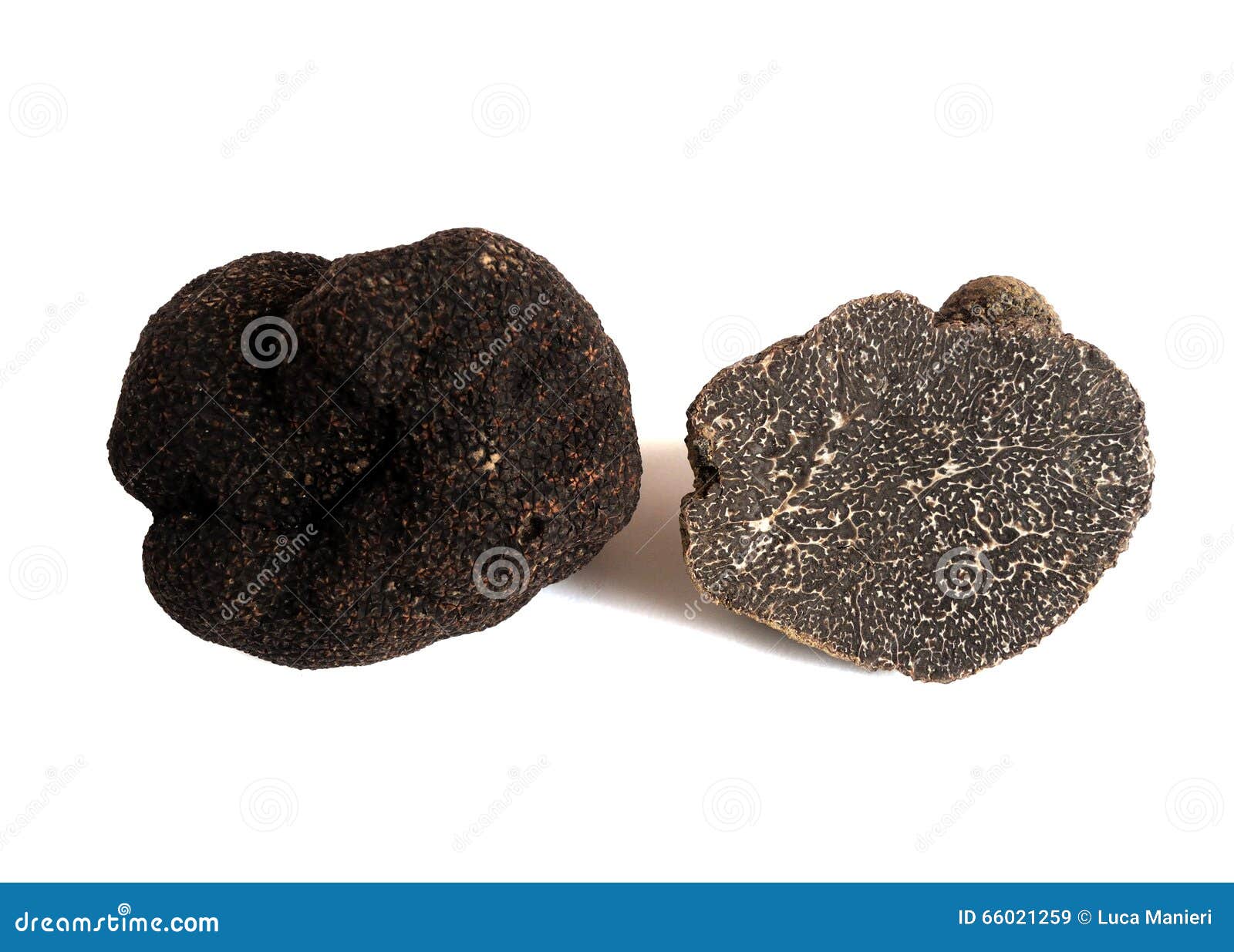 Svart tryffel fotografering för bildbyråer. Bild av kulinariskt - 66021259