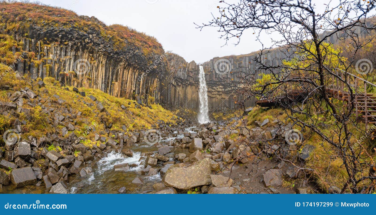 Svartifoss Waterfall Black Basalt Columns between Autumn Colored ...