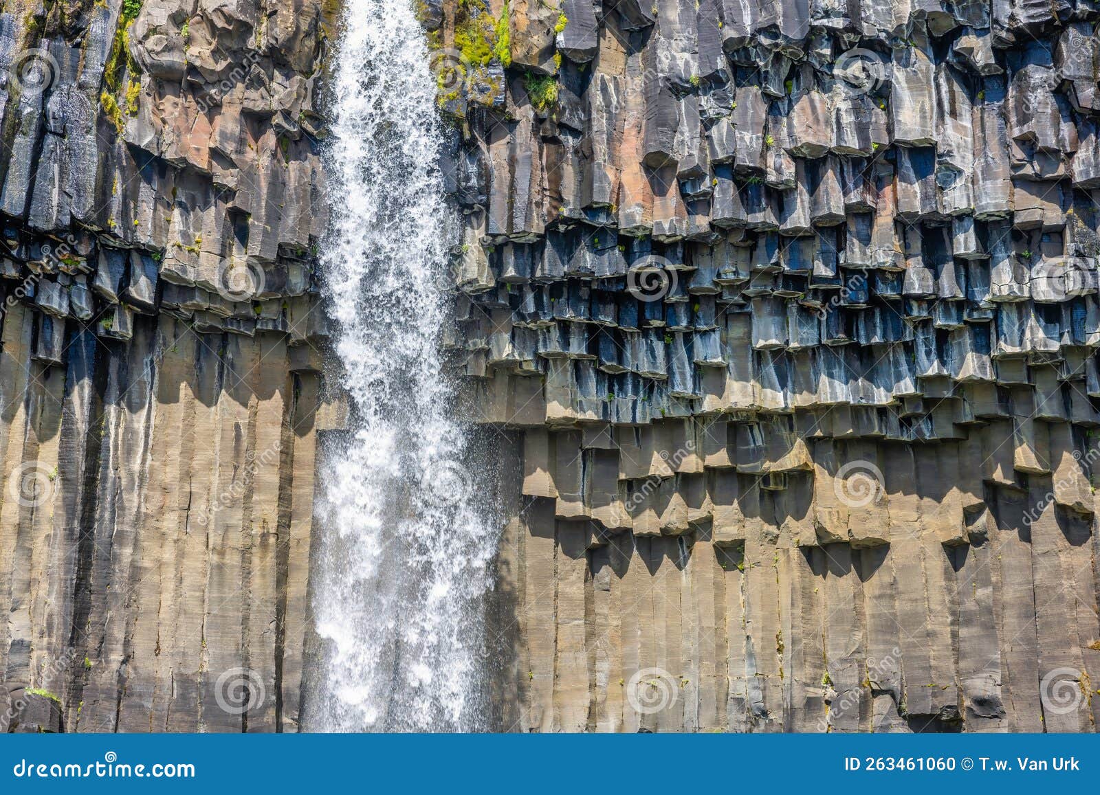 Svartifoss Waterfall Skaftafell with Black Basalt Columns, Iceland ...