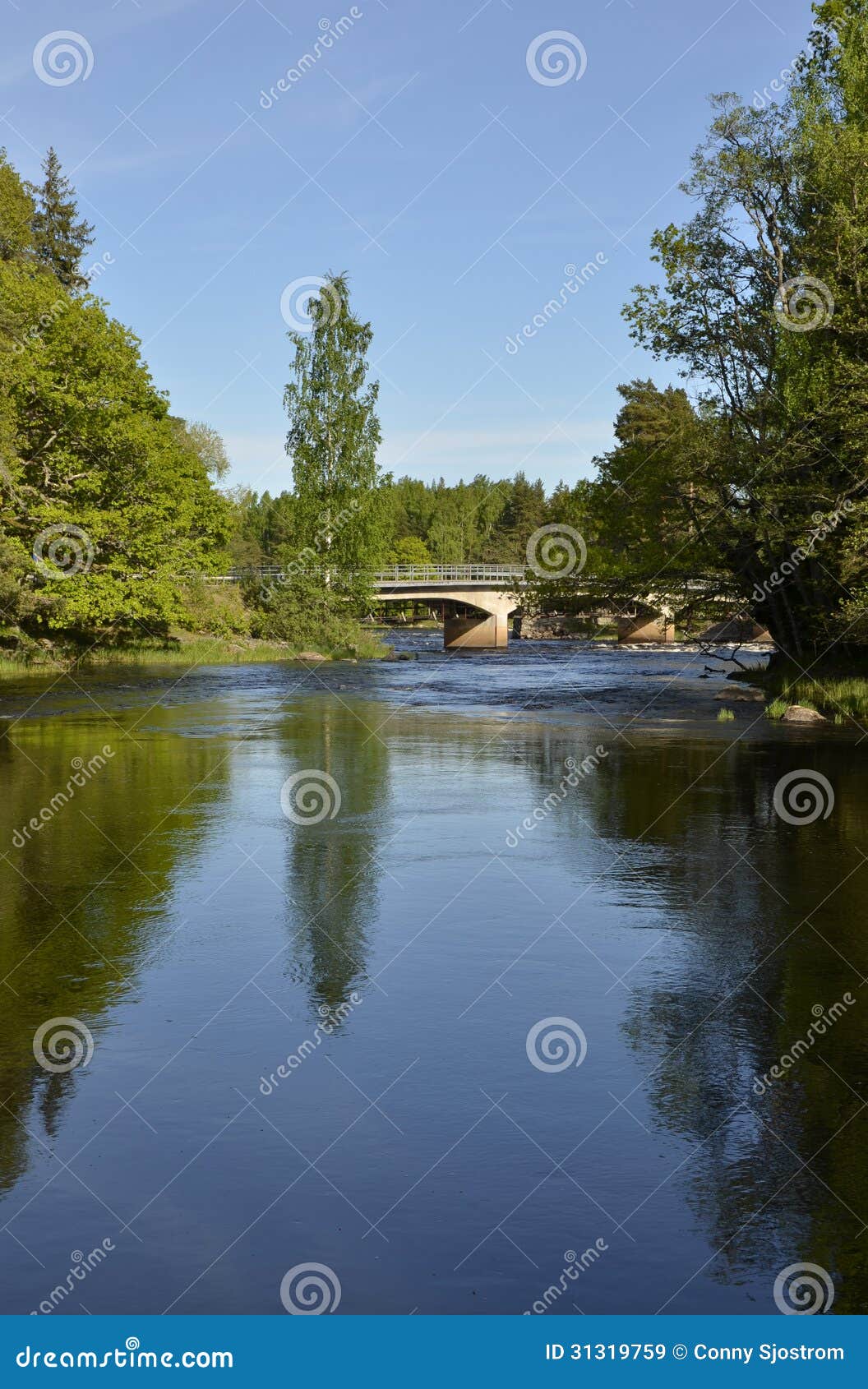 Svensk flod fotografering för bildbyråer. Bild av pittoreskt - 31319759