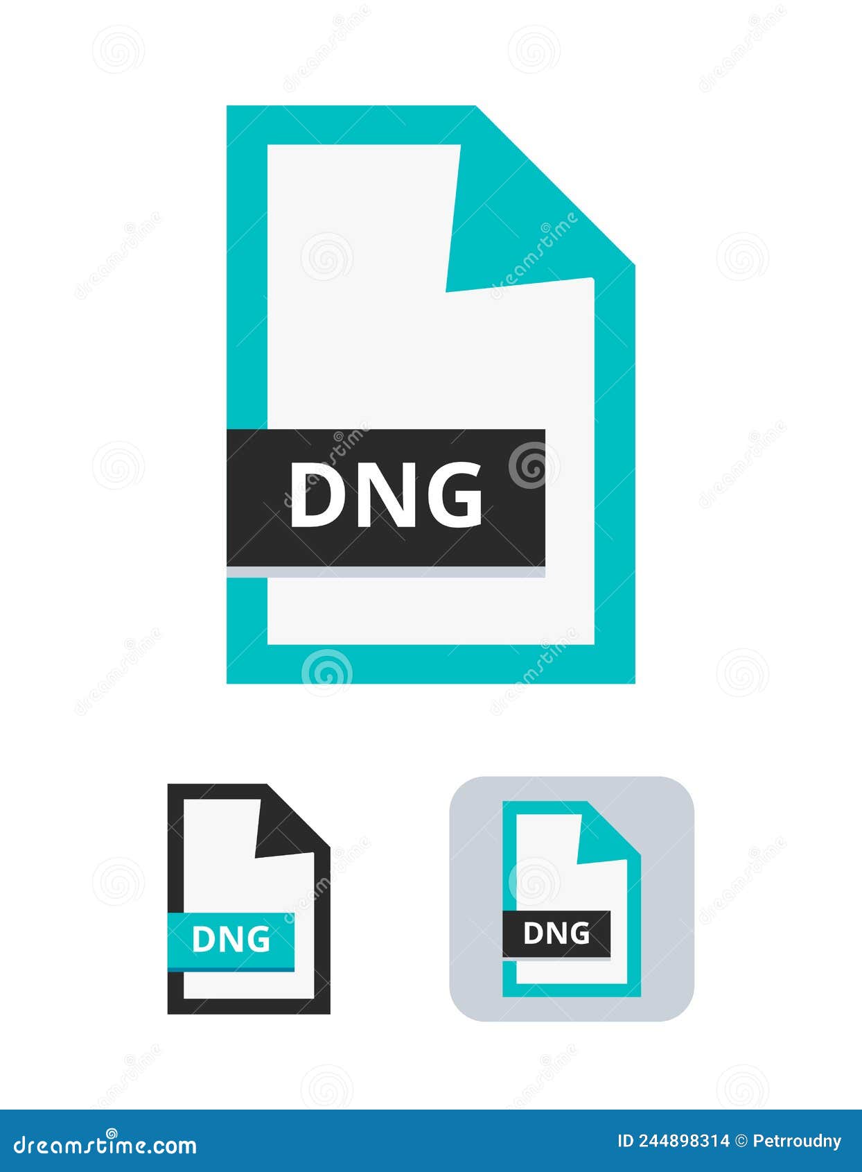 Dng File Flat Vector Icon. Standardized Professional Photo Raw Format ...
