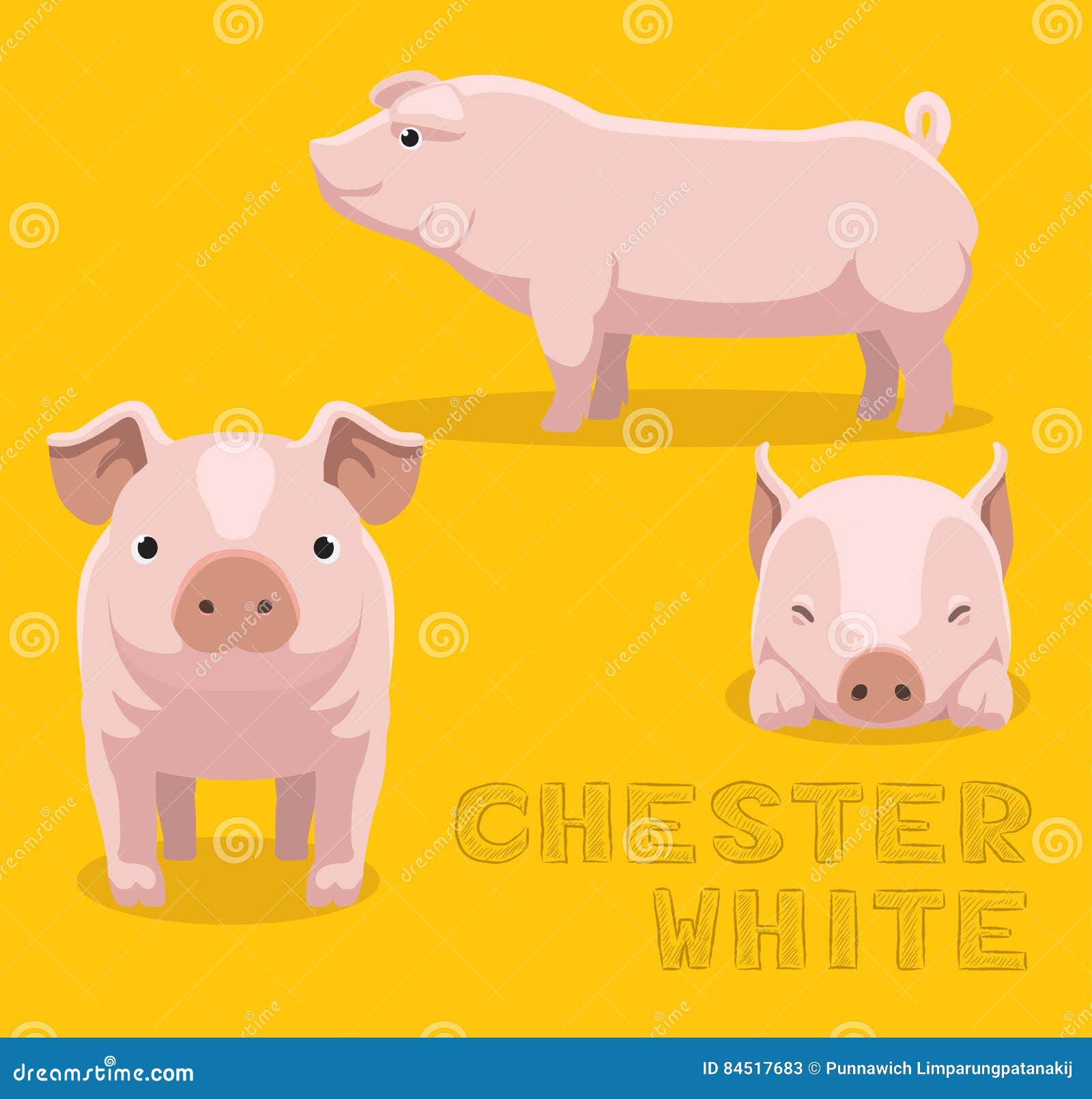 Svin Chester White Cartoon Vector Illustration Vektor Illustrationer ...