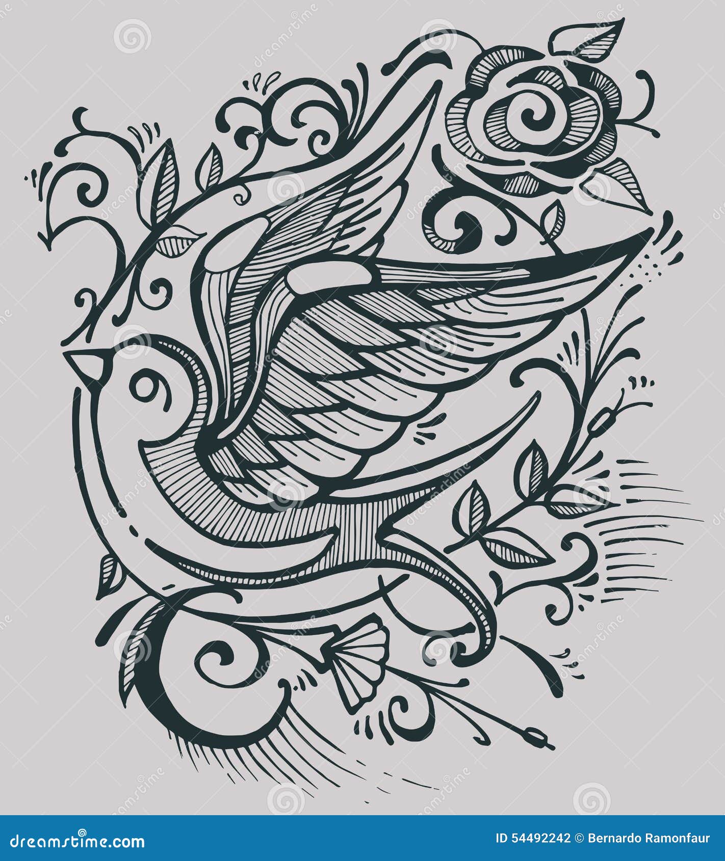 Swallow Bird Isolated On A White Background. Realistic Hirundo Rustica ...