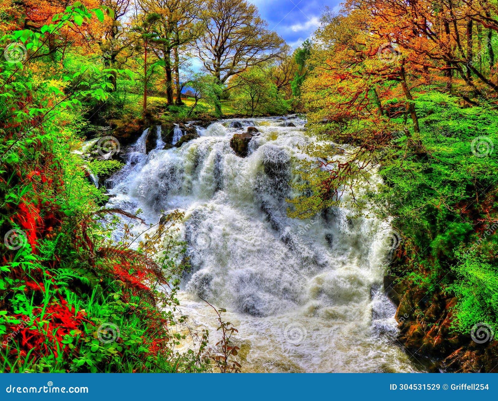 The Swallow Falls stock image. Image of falls, swallow - 304531529