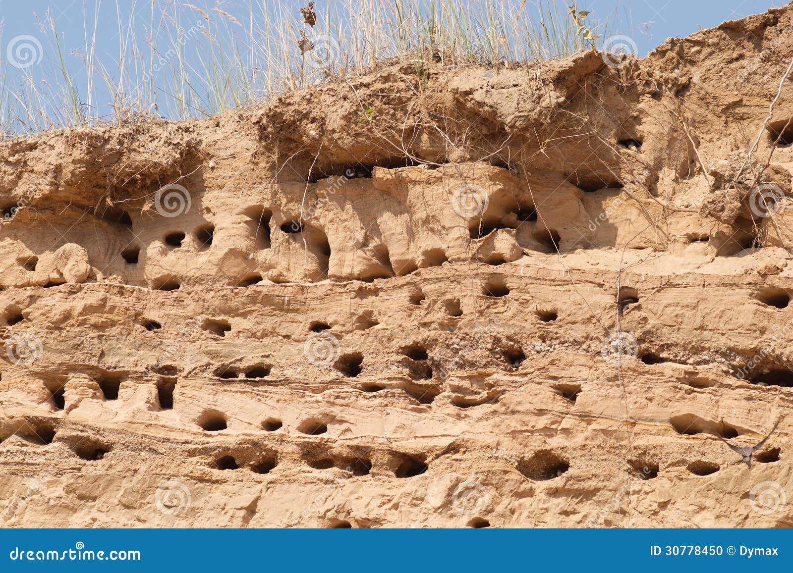 Swallow Nests in Sand on Top of Cliff Stock Photo - Image of landscape ...
