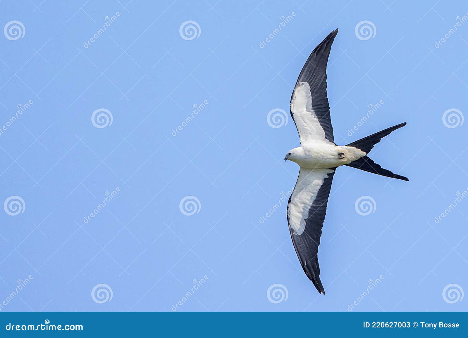 Sharp Turn In The Road Stock Photo | CartoonDealer.com #10592214