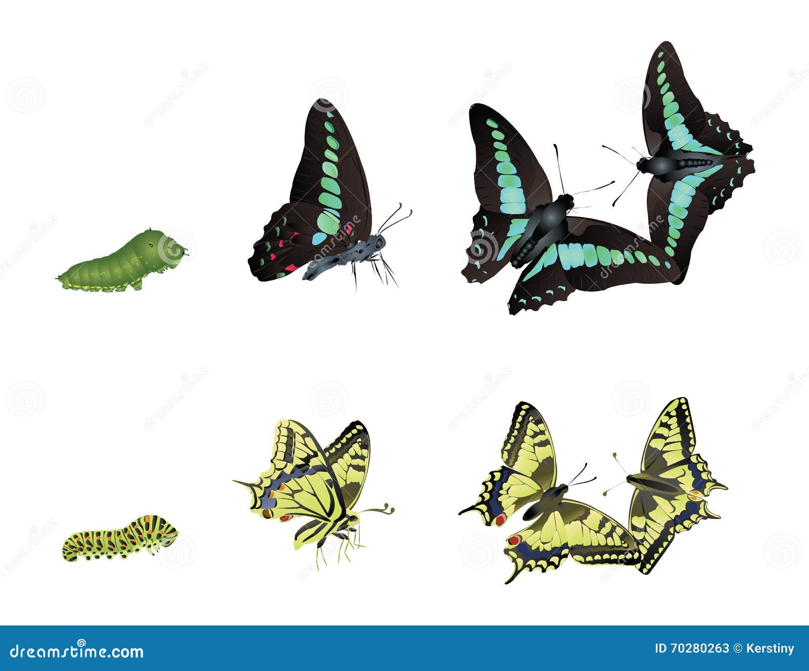 Swallowtail Butterflies. Vector Black Silhouettes. | CartoonDealer.com ...
