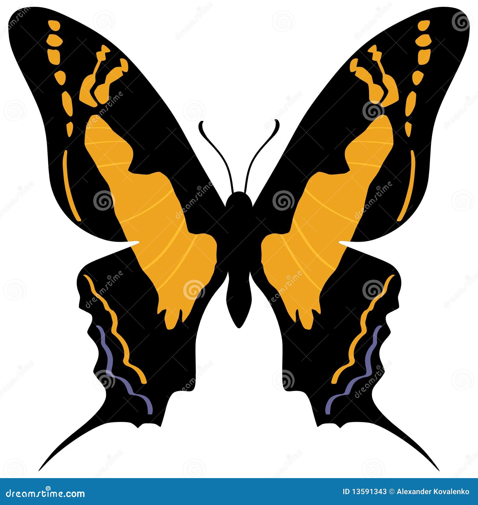Swallowtail butterfly stock vector. Illustration of decoration - 13591343