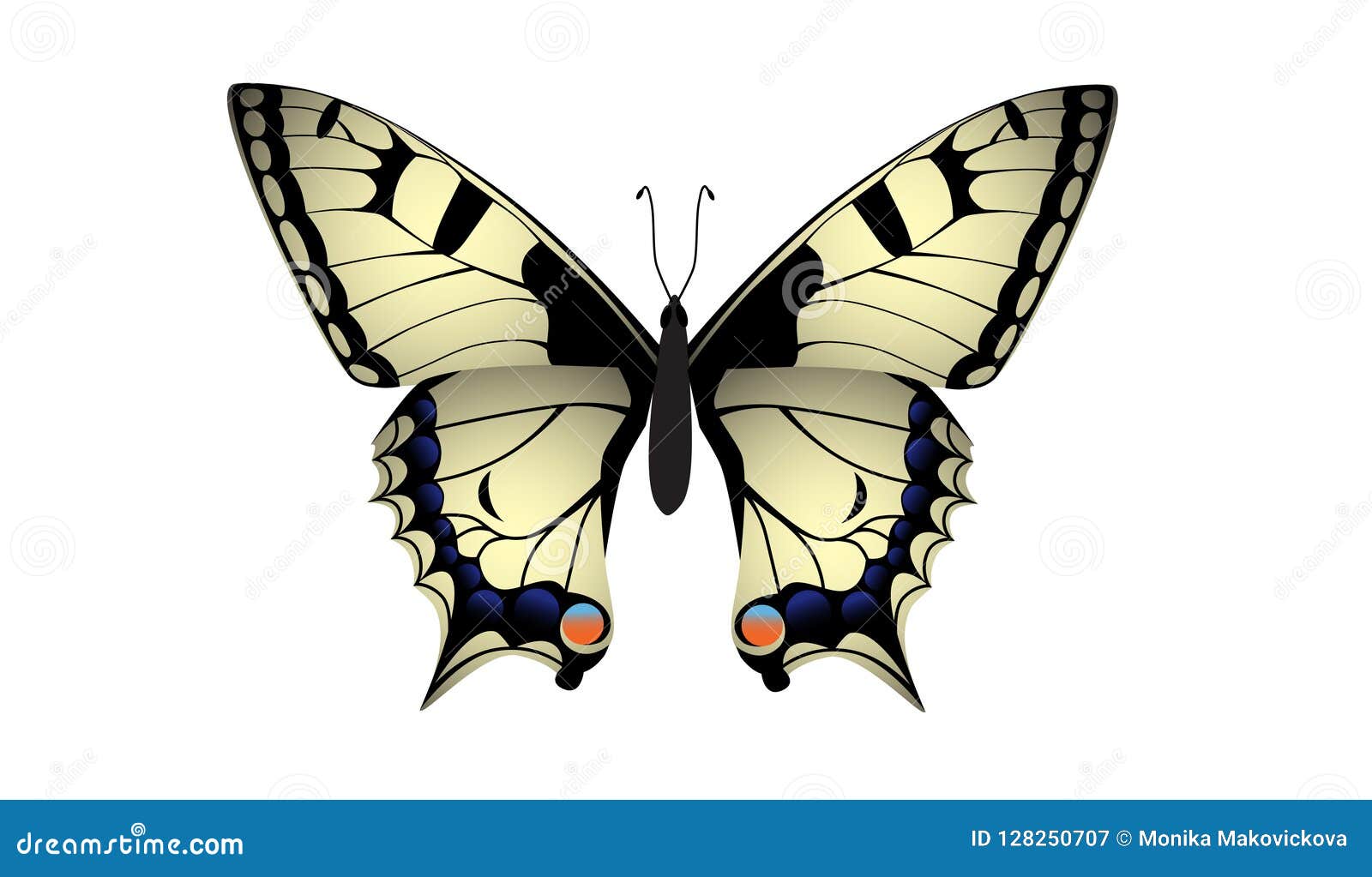 Swallowtail Butterfly Vector Stock Illustration - Illustration of ...