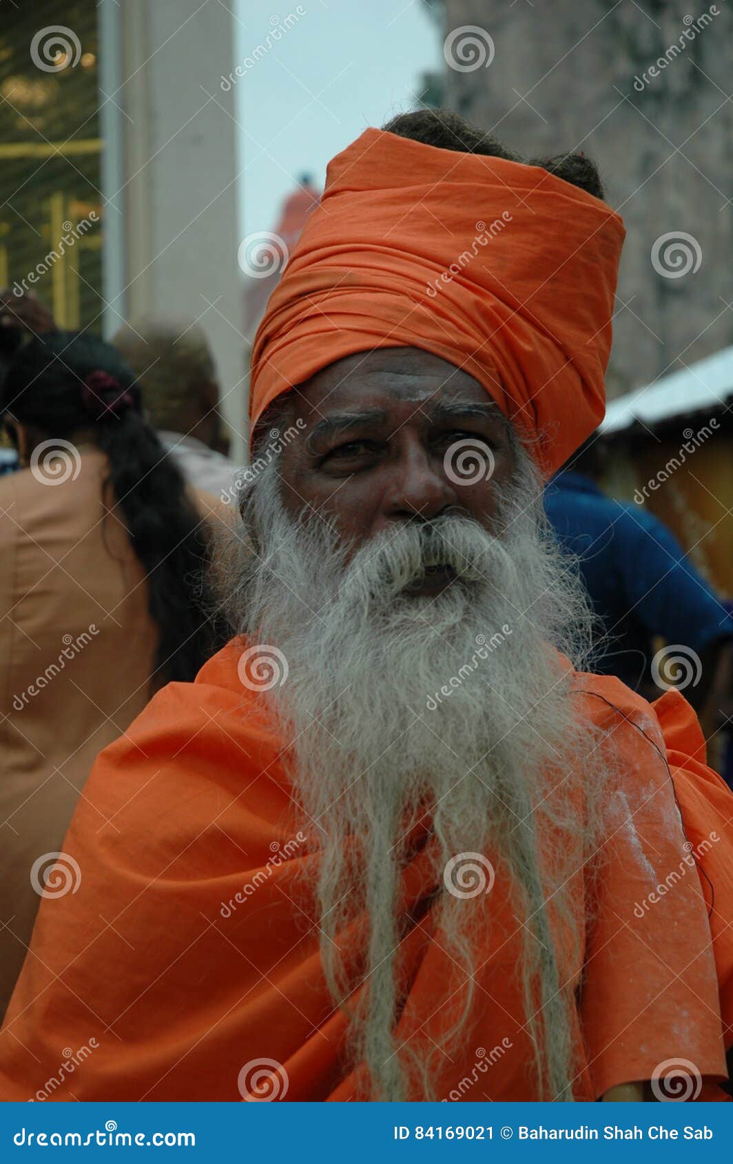 The swami editorial photo. Image of active, alert, butterfly - 84169021