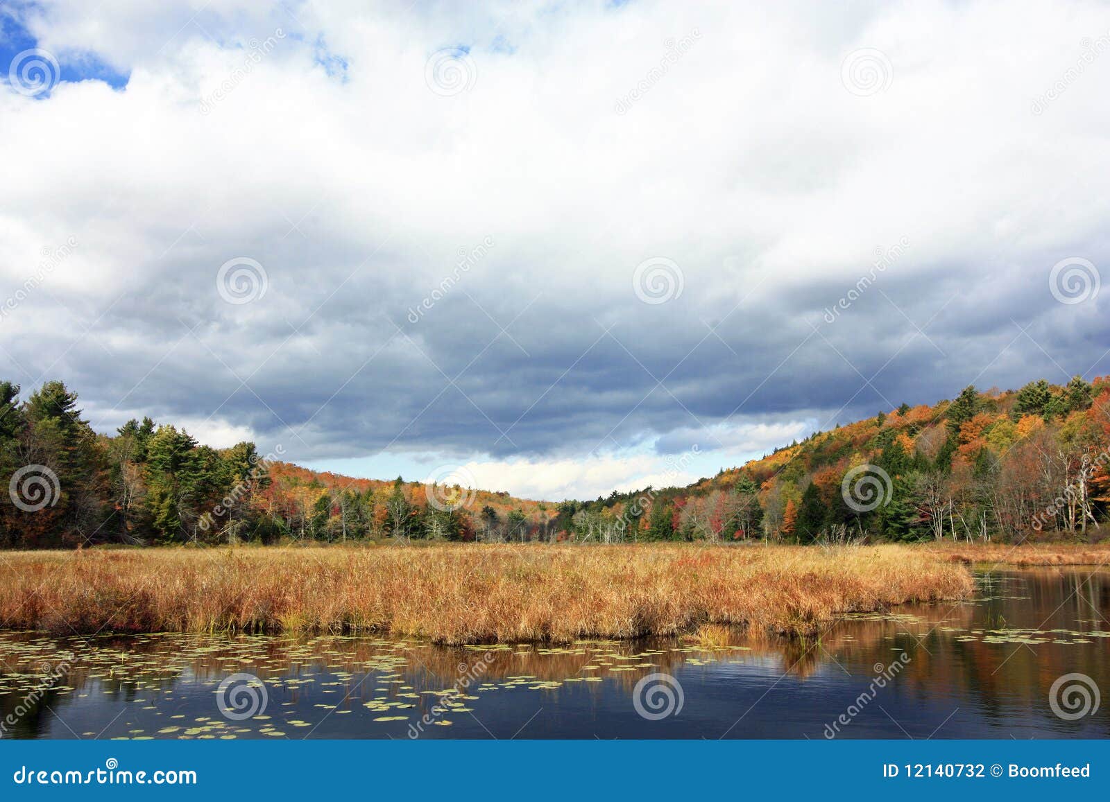 Swamp stock photo. Image of grasses, hills, peaceful - 12140732