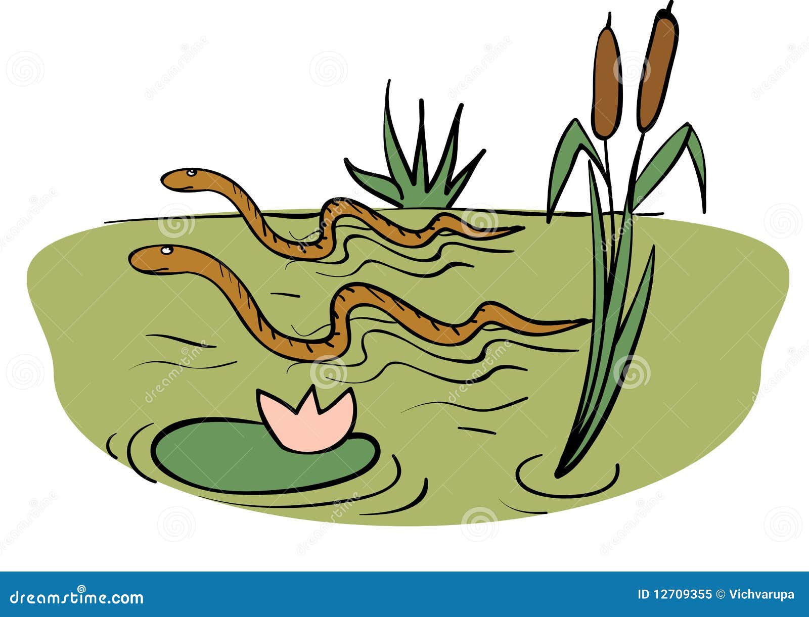 Swamp Cartoon Vector | CartoonDealer.com #12709355