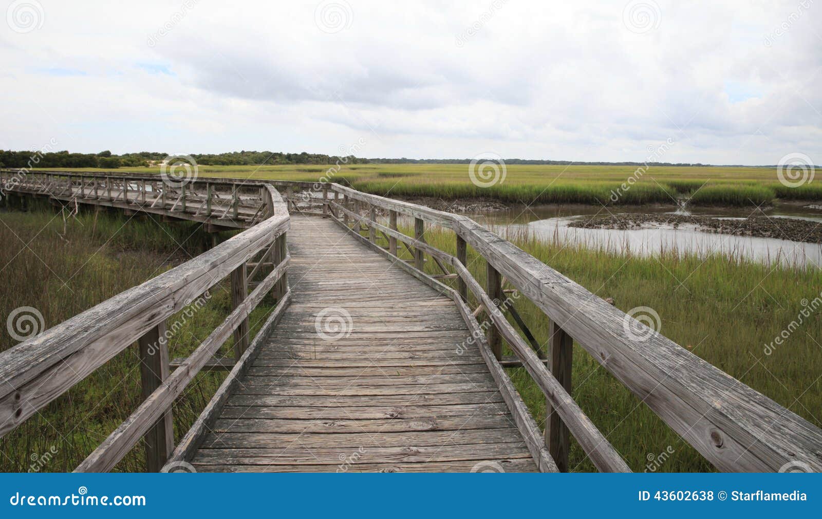 Swamp Boardwalk stock photo. Image of swamp, outdoors - 43602638