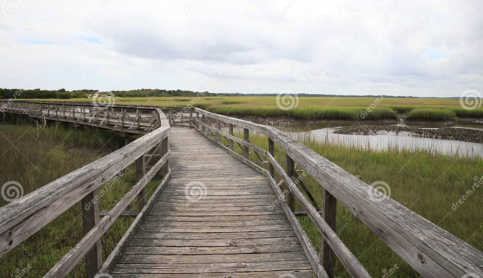 Swamp Boardwalk stock photo. Image of swamp, outdoors - 43602638