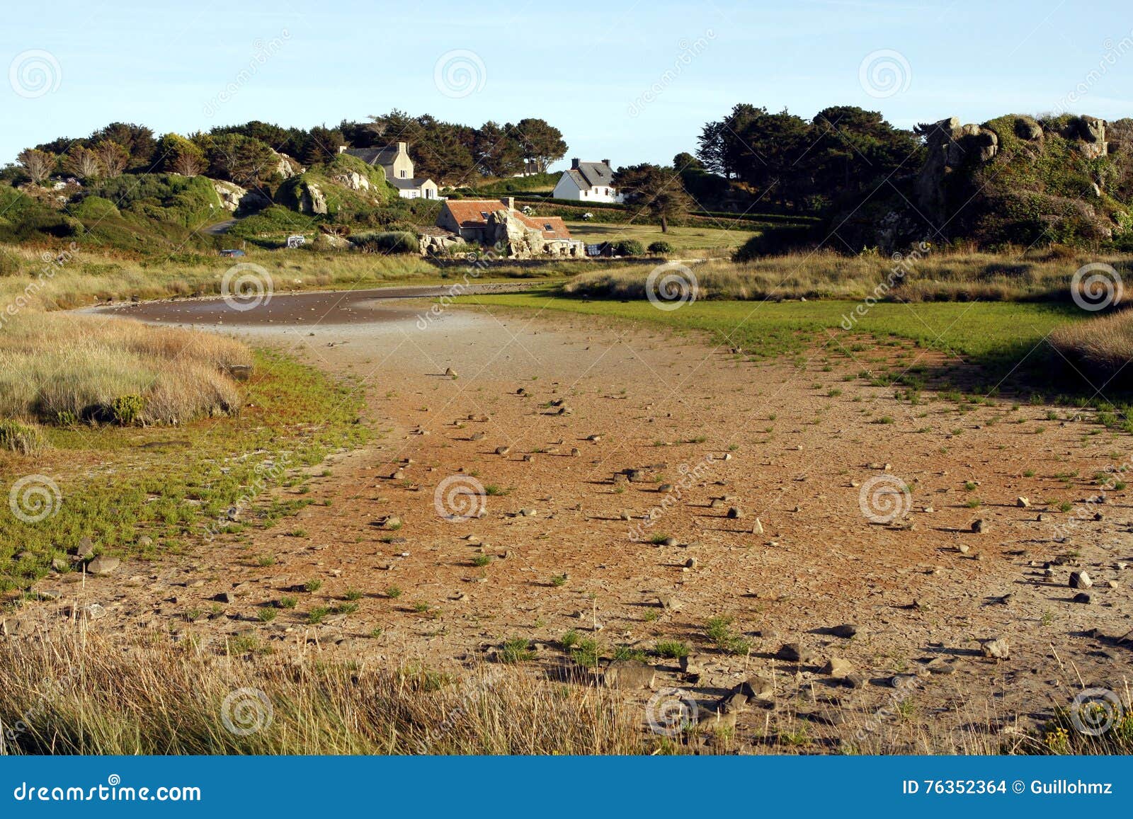 Swamp in Brittany stock photo. Image of ecoregion, armor - 76352364